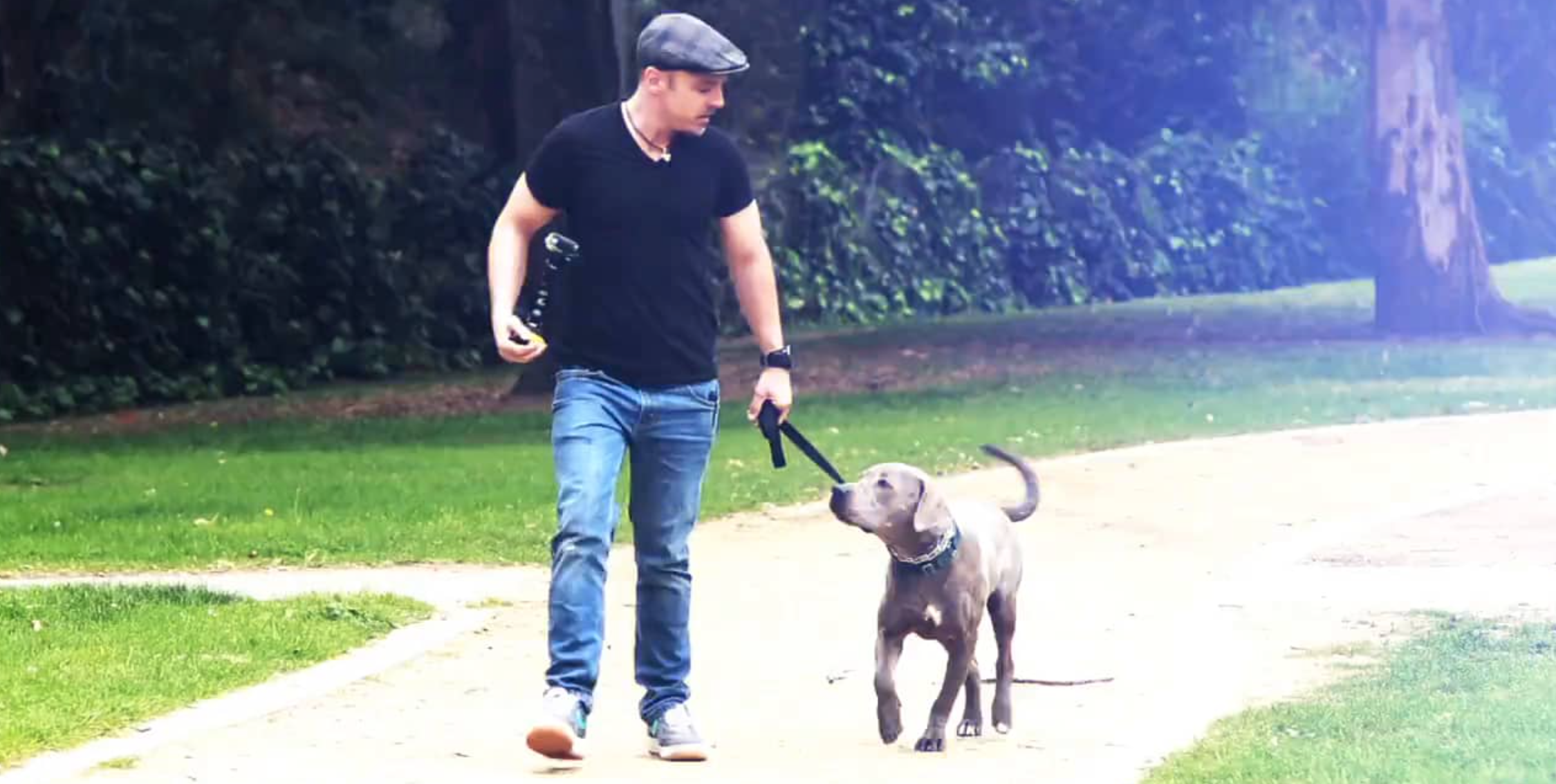 Good Dog: DVD Teaser - Rantze+Raves